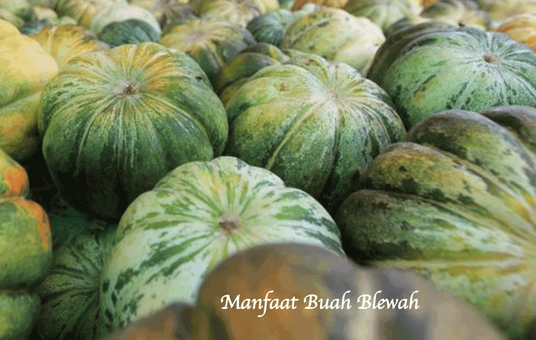 7 Manfaat Blewah